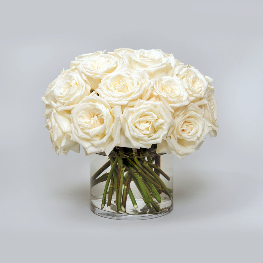 Pure White Roses Arrangement – Viola Floral